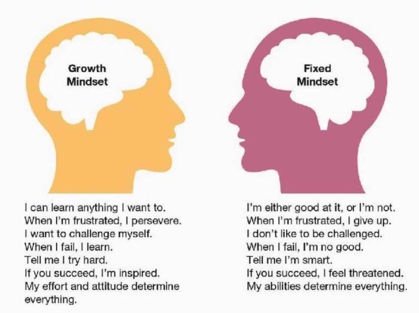 CEO Mindset - CEO Lessons
